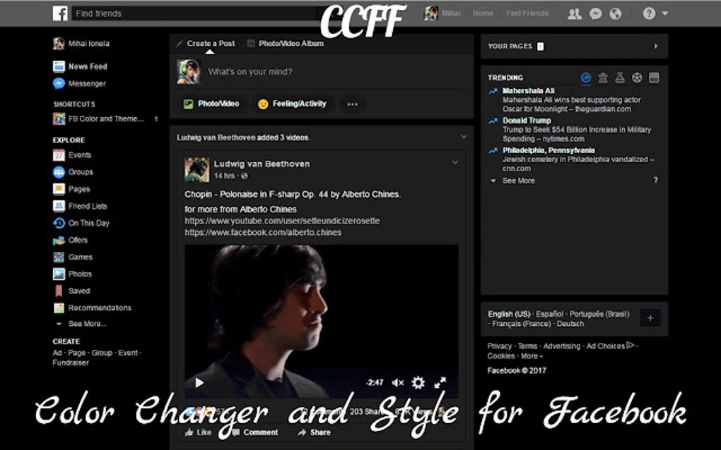 CCFF - Color Changer and Style for Facebook for Google Chrome ...