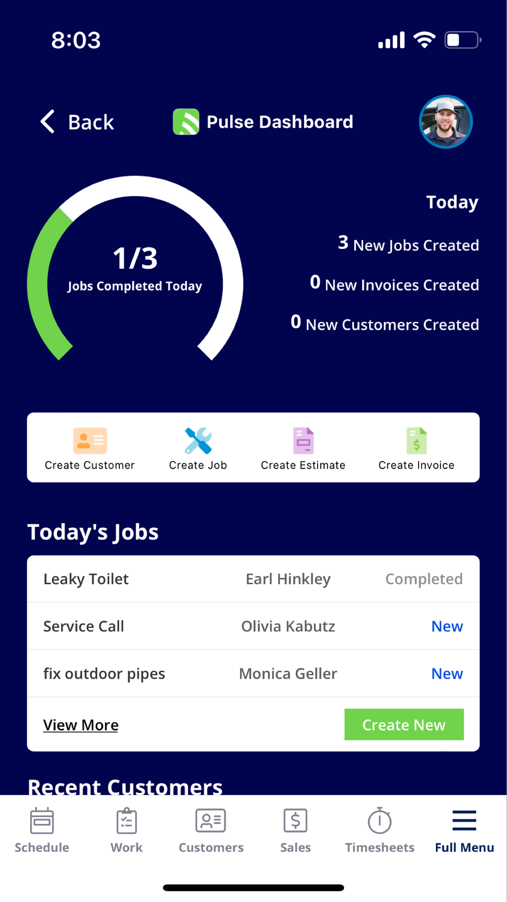 FieldPulse 2.0 for iPhone - Download