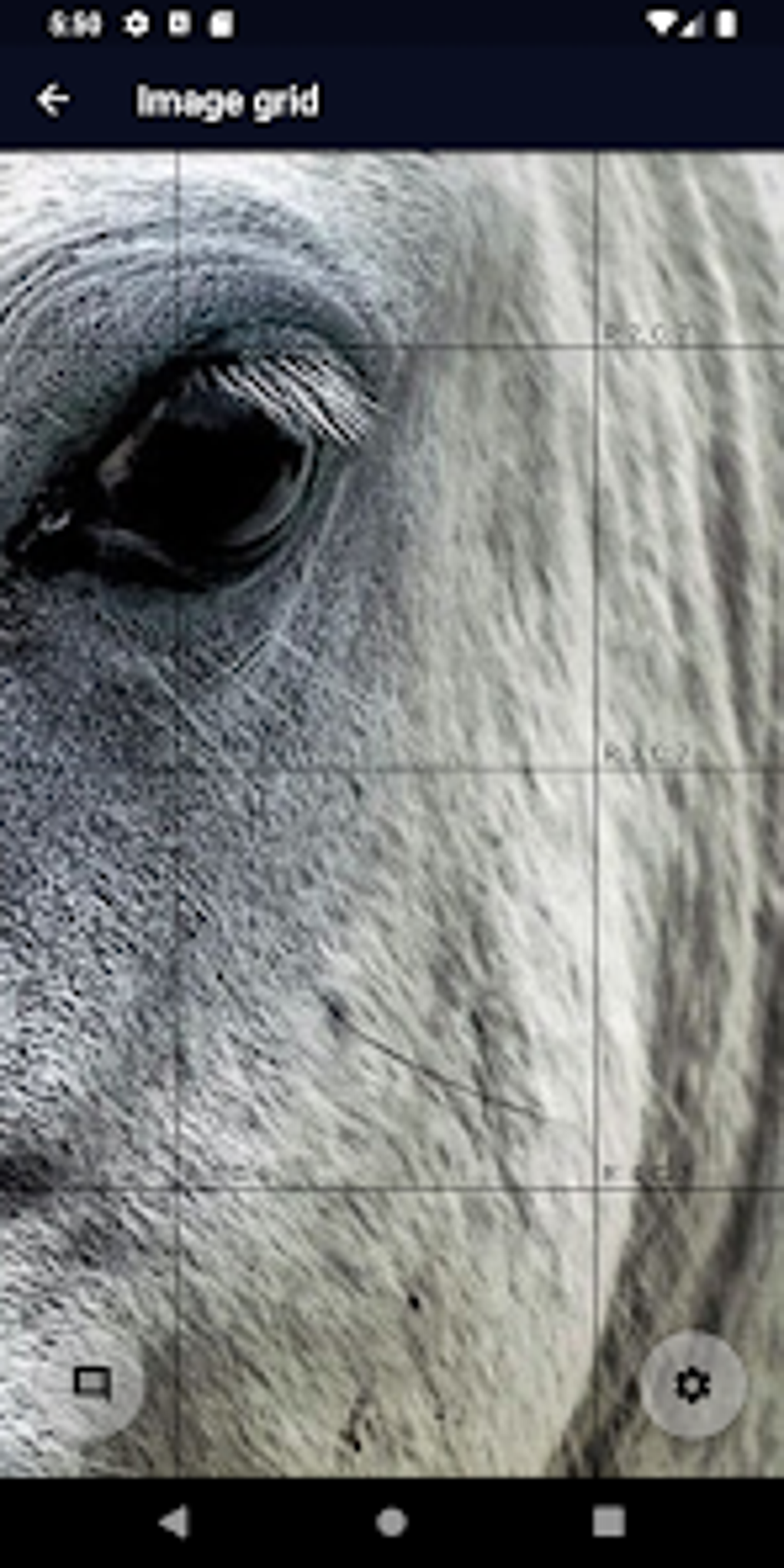 ImageGrid APK für Android - Download