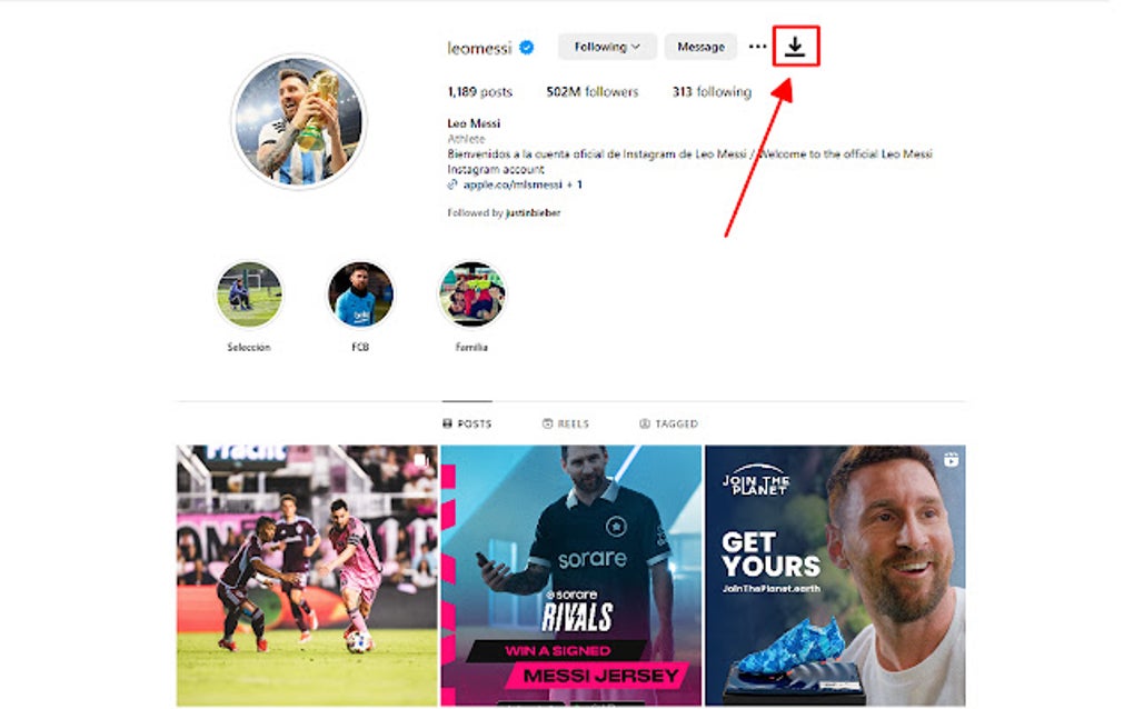 IG Downloader Google Chrome 용 - 확장 프로그램 다운로드