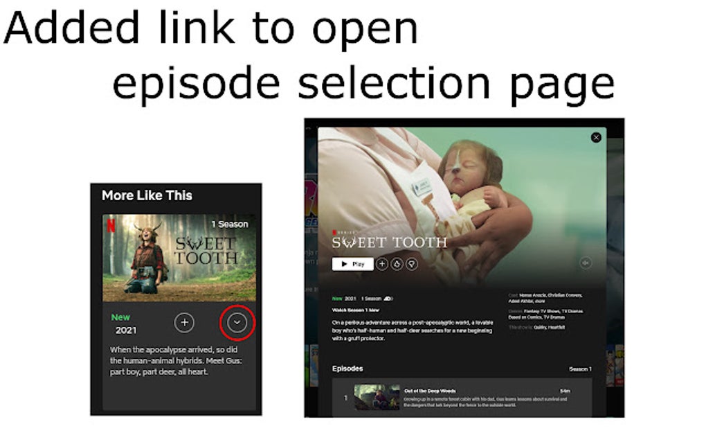 ep.list link on More Like This for Netflix para Google Chrome ...