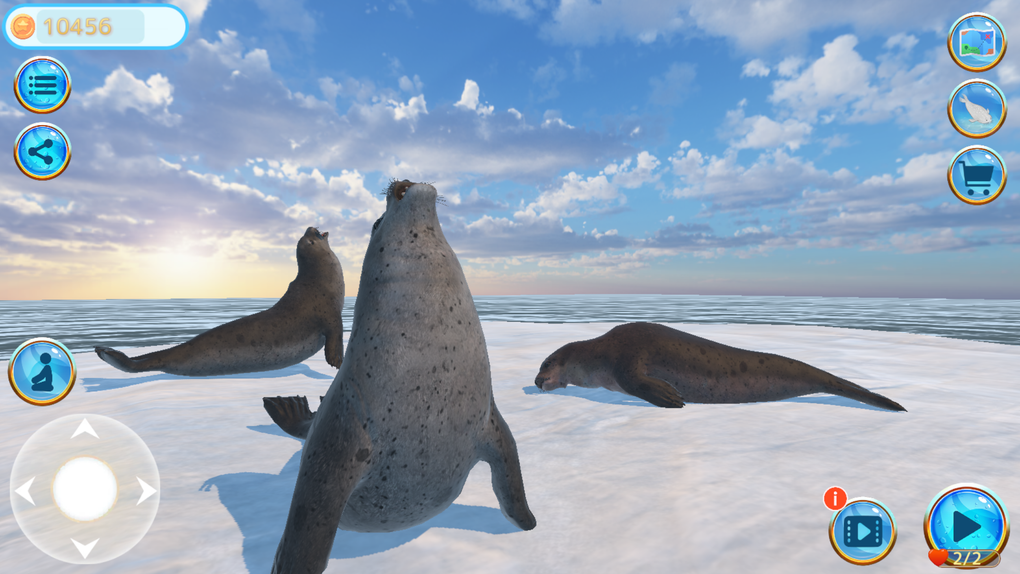 Seal Island for iPhone - Download
