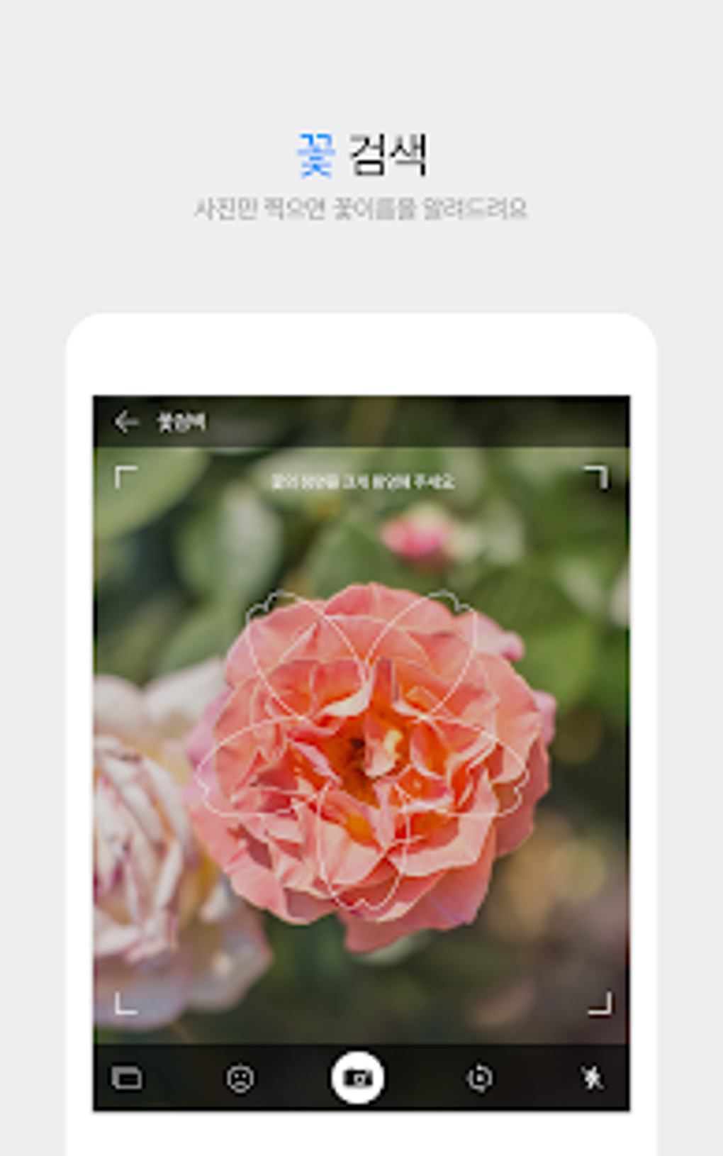 Android 용 다음 - Daum APK - 다운로드