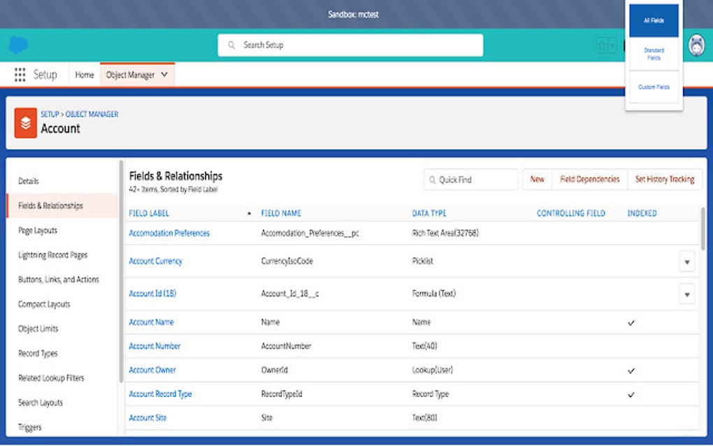 Salesforce Lightning Setup Field Type Toggle for Google Chrome ...