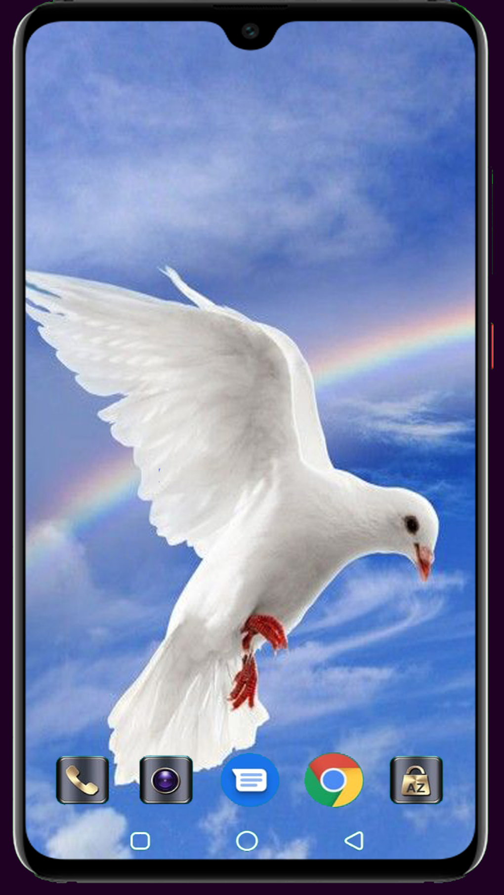 HD Pigeon Wallpaper for Android - Download