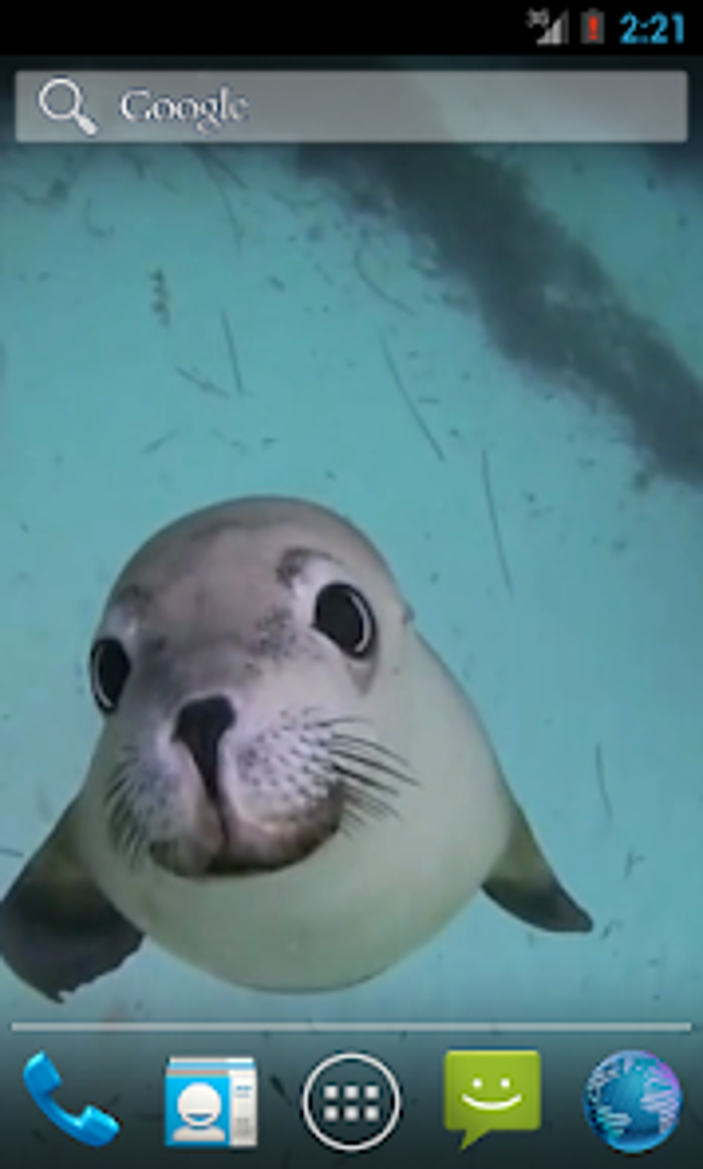 Android 용 Sea Life HD Video Wallpapers G - 다운로드