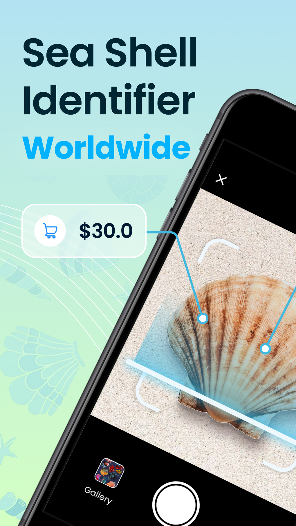 Sea Shell Identifier Guide for iPhone - Download