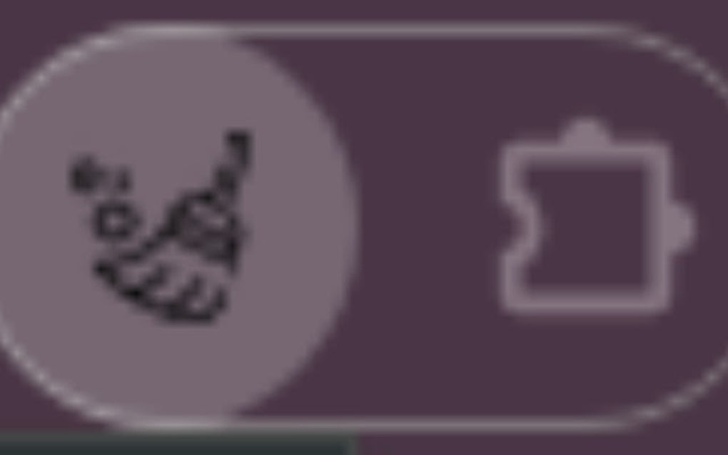 Browser Cleaner สำหรับ Google Chrome - ส่วนขยาย ดาวน์โหลด