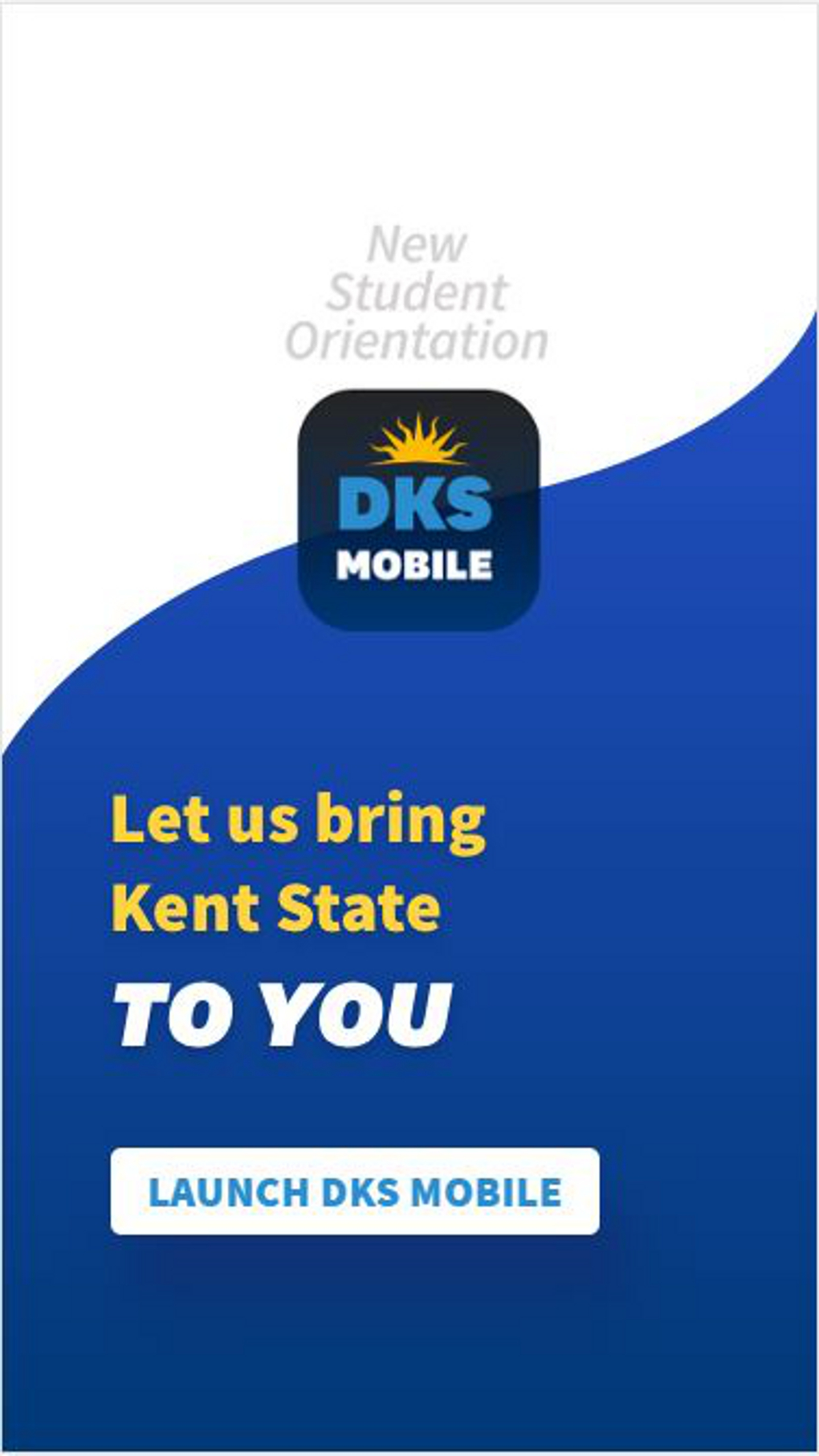 DKS Mobile for iPhone - Download