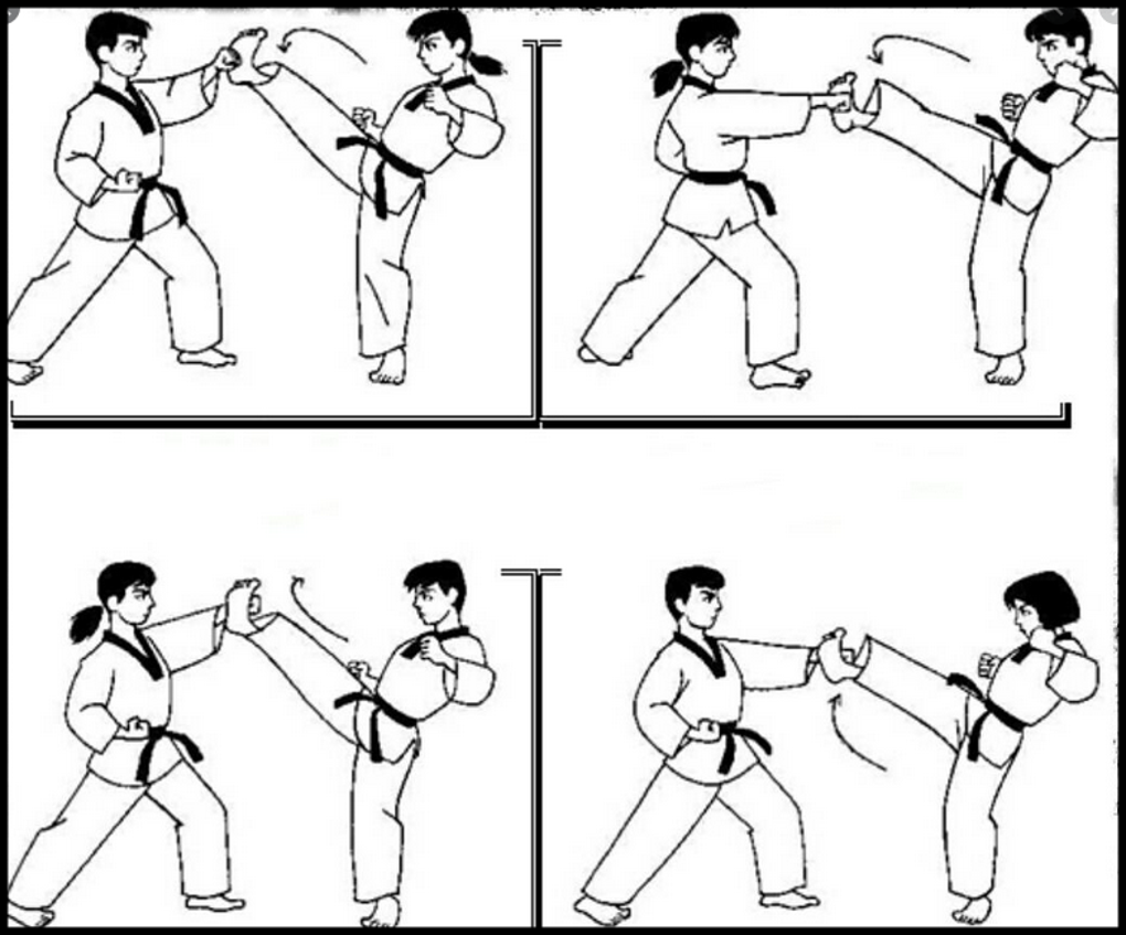 Learn Taekwondo. Self Defense Martial Arts for Android - Download