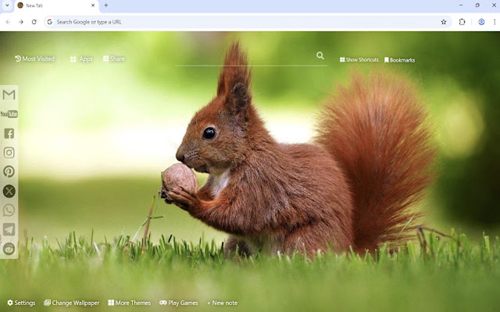 Squirrel Wallpaper for Google Chrome - Extension Download