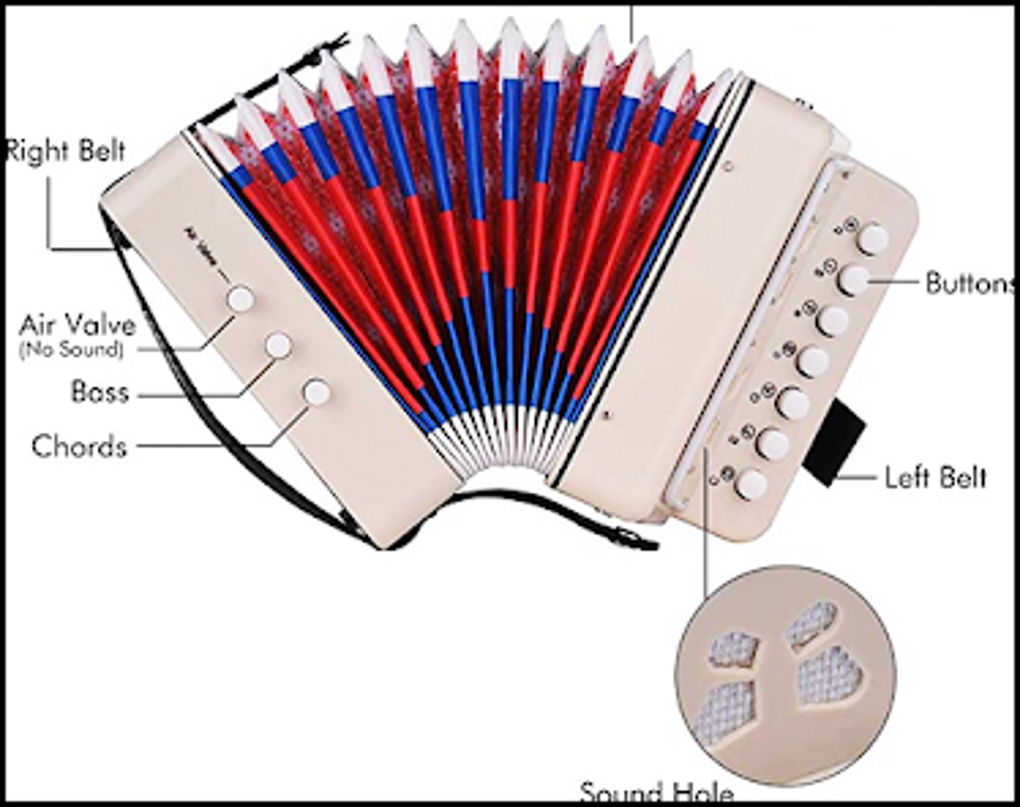 HOW TO PLAY ACCORDION for Android - Download