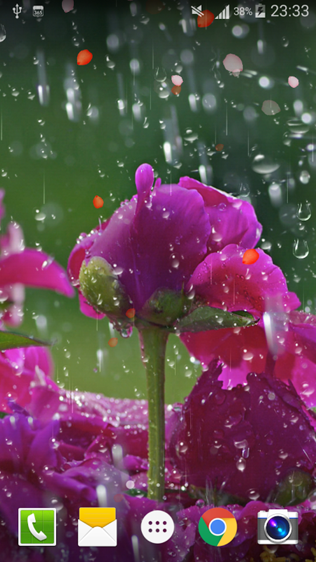 Rose Raindrop Live Wallpaper APK for Android - Download