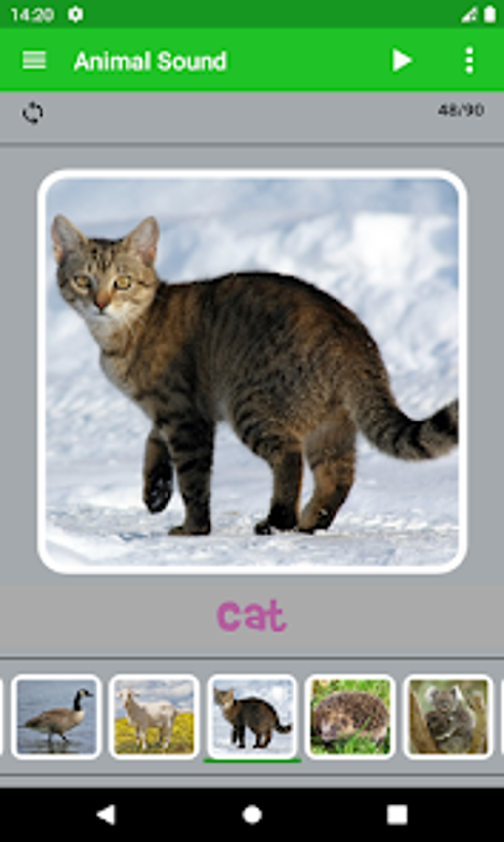 Animal Sound for Android - Download