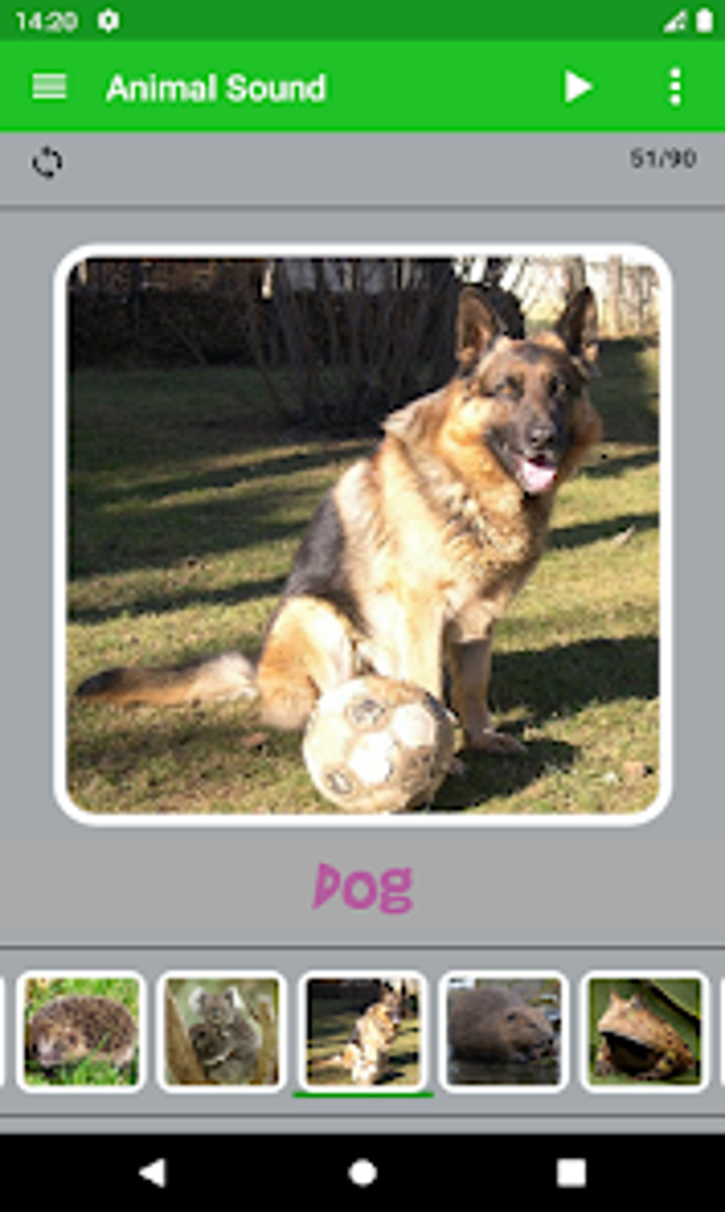 Animal Sound para Android - Descargar