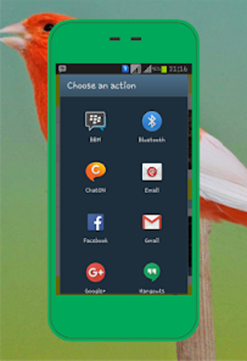 Canary Birds for Android - Download