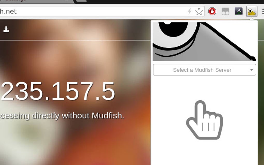 Mudfish - HTTP Proxy pour Google Chrome - Extension Télécharger