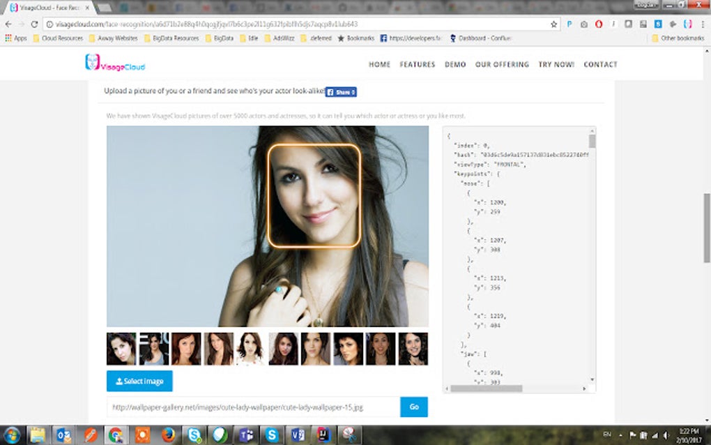 Doppelganger by VisageCloud for Google Chrome - Extension Download