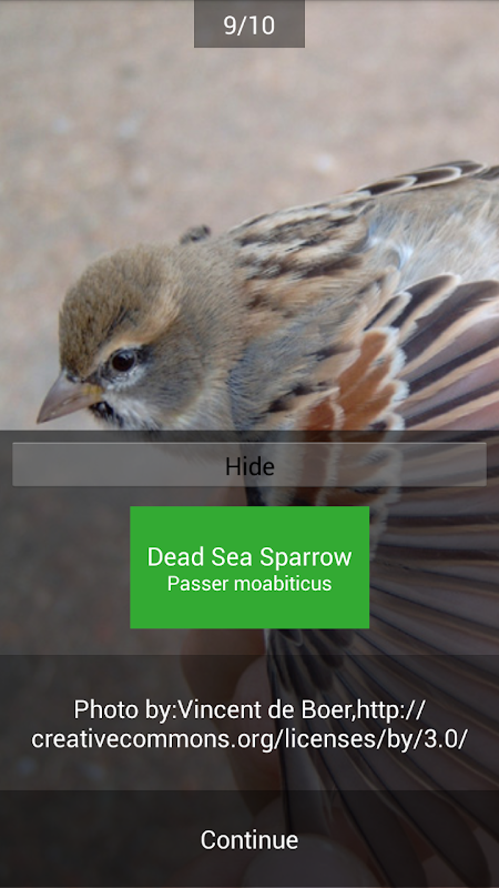 BirdID - European bird guide and quiz APK for Android - Download