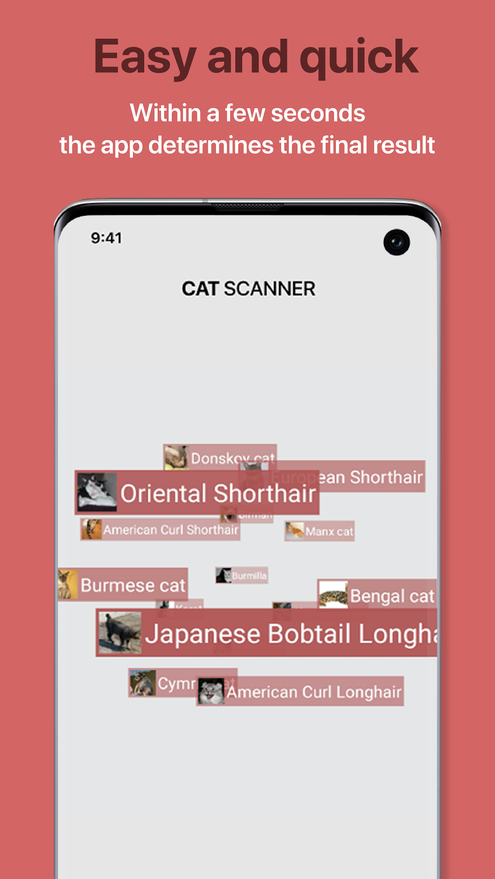 Cat Scanner Breed Recognition Apk For Android Download