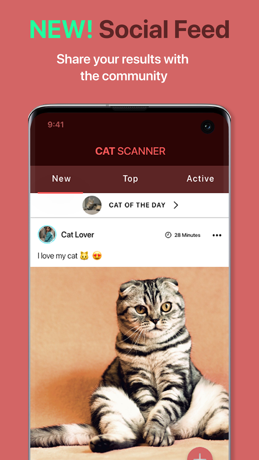 Cat Scanner Breed Recognition Apk For Android Download