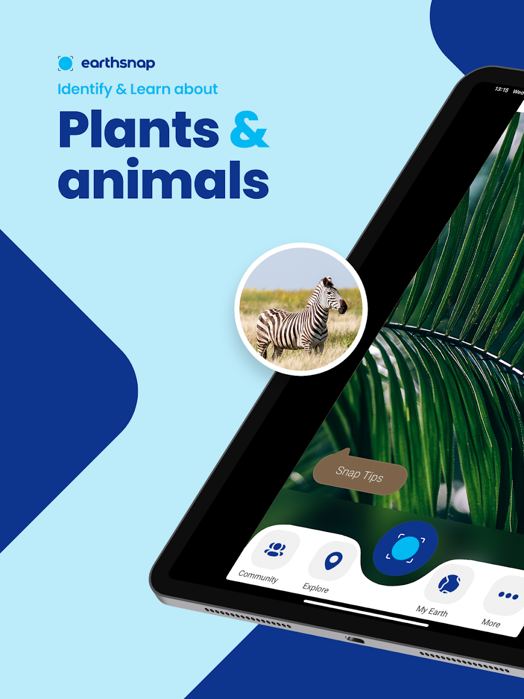 EarthSnap - Nature Identifier for Android - Download