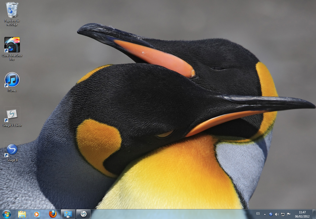 Tema Animal Affection - Descargar