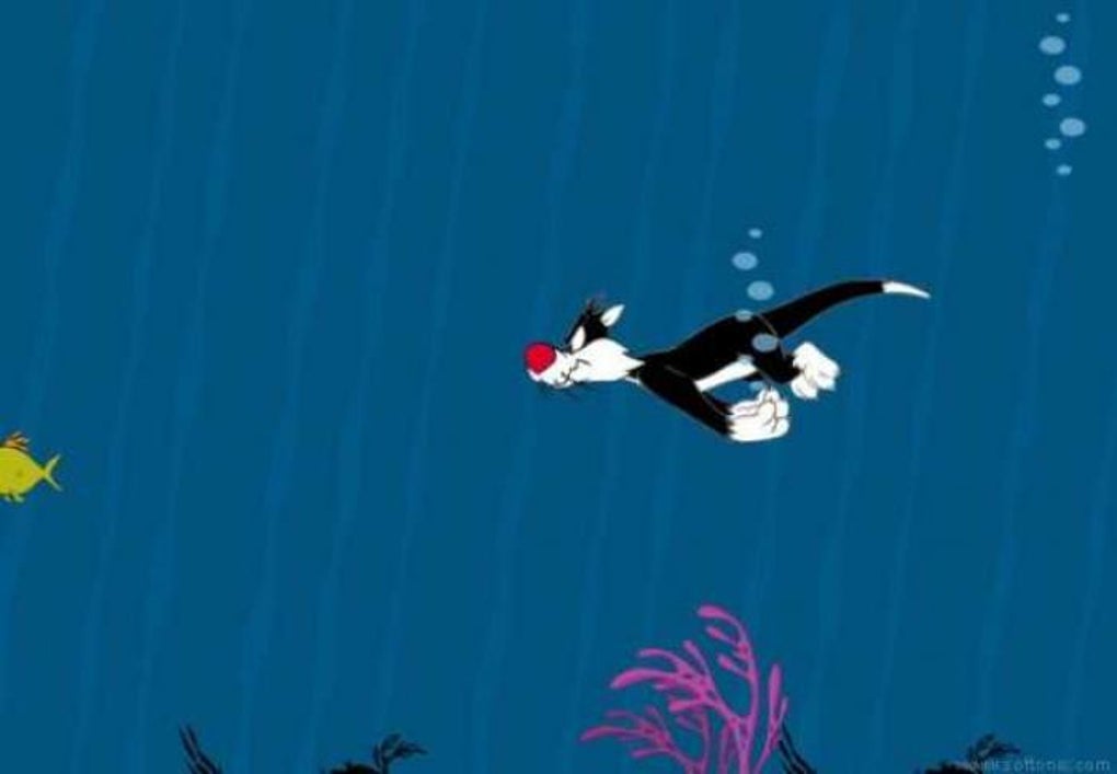 Looney Toons Fishes Screensaver - Descargar