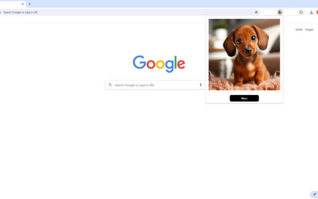 Doggo for Google Chrome - Extension Download