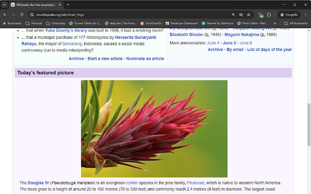 Safe Web Network Monitor สำหรับ Google Chrome - ส่วนขยาย ดาวน์โหลด