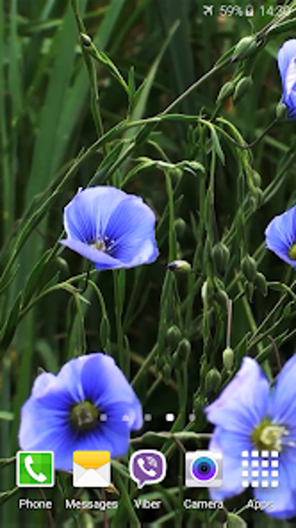 Blue Flowers Live Wallpaper für Android - Download