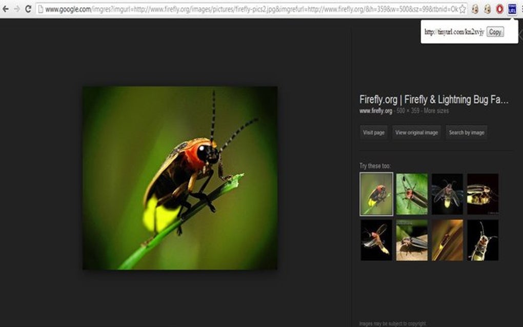 tinyurl for Google Chrome - Extension Download