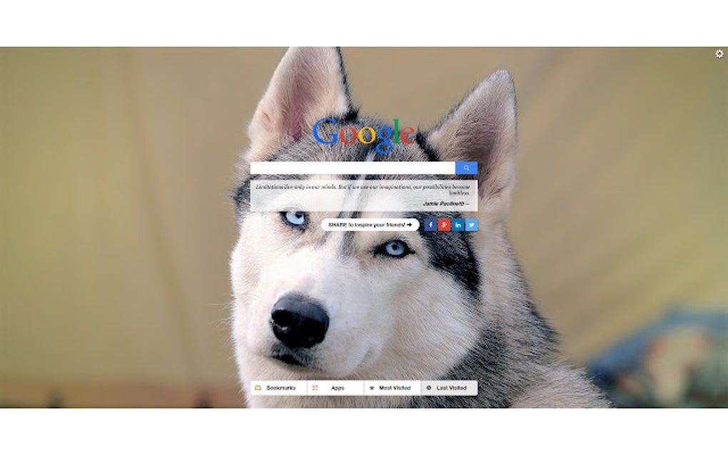 Dogs New Tab for Google Chrome - Extension Download