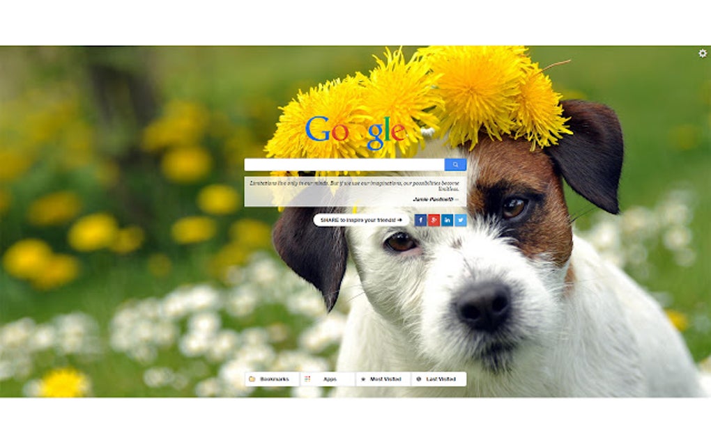 Dogs New Tab for Google Chrome - Extension Download