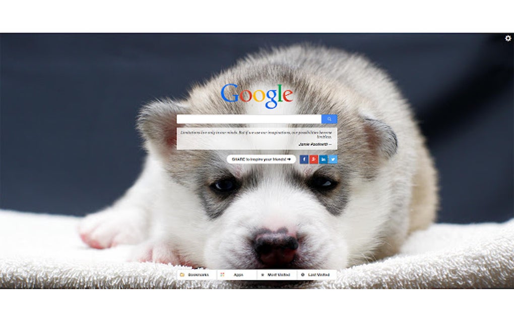 Dogs New Tab for Google Chrome - Extension Download