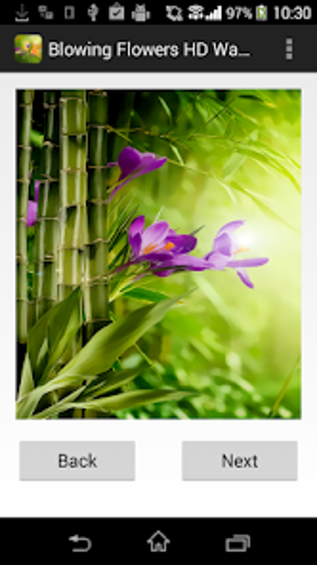 Flower Wallpaper for whatsapp for Android - Download