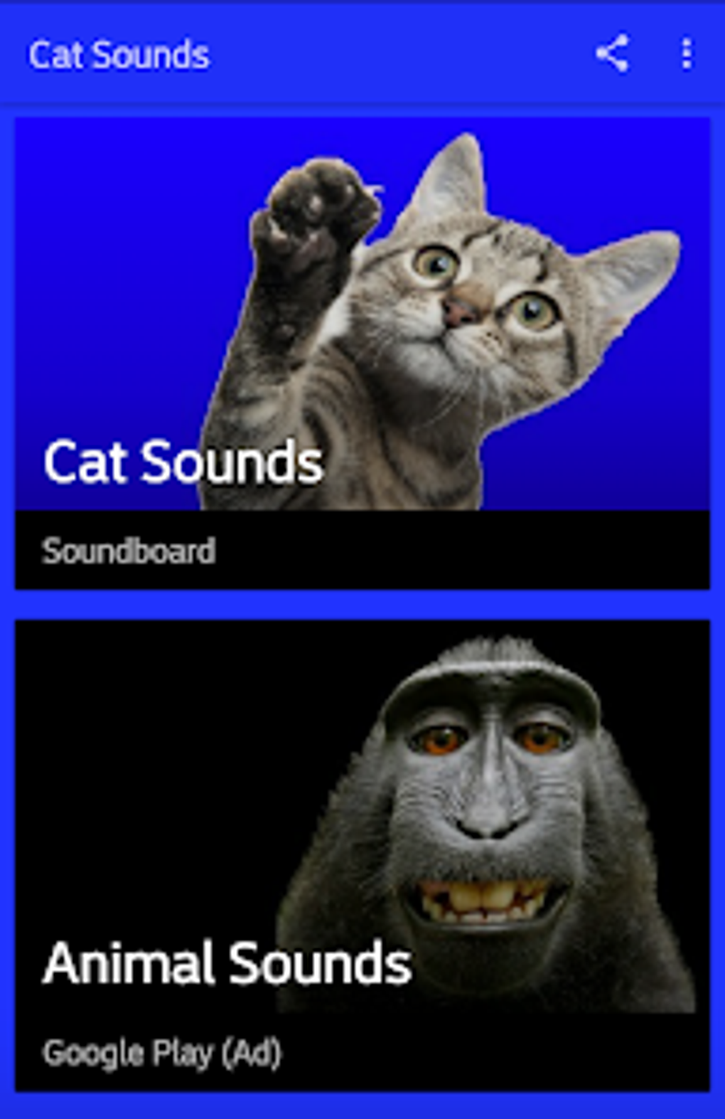 Cat Sounds Ringtones for Android - Download