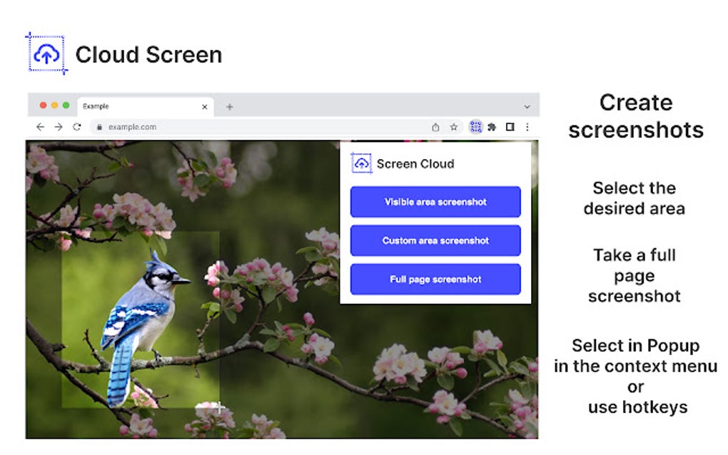 Cloud Screen - screenshots quickly für Google Chrome - Erweiterung Download