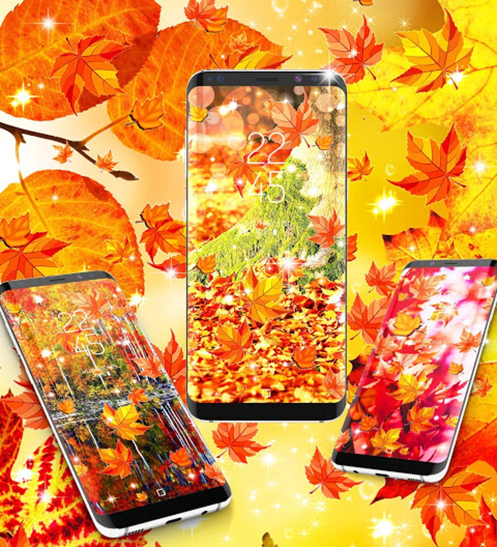 Autumn live wallpaper APK for Android - Download