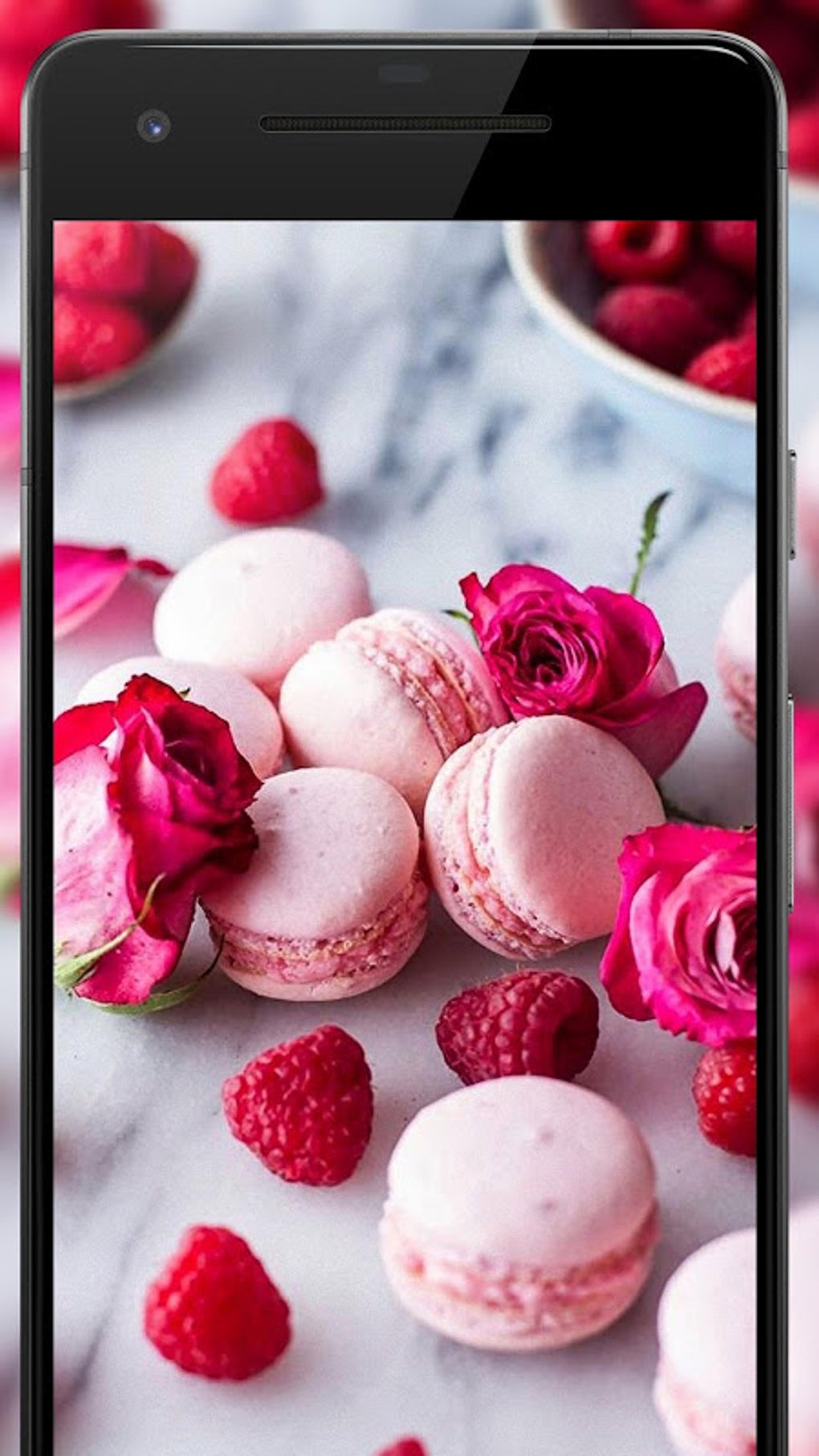 Rose Wallpaper, Floral, Flower background : Rosefy APK for Android ...