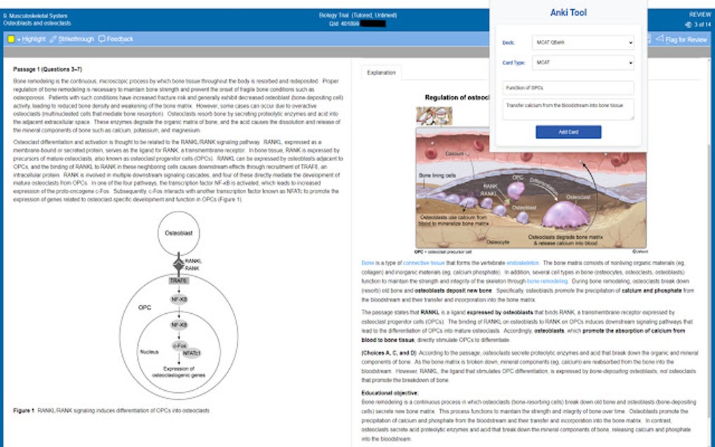 Anki Tool for Google Chrome - Extension Download