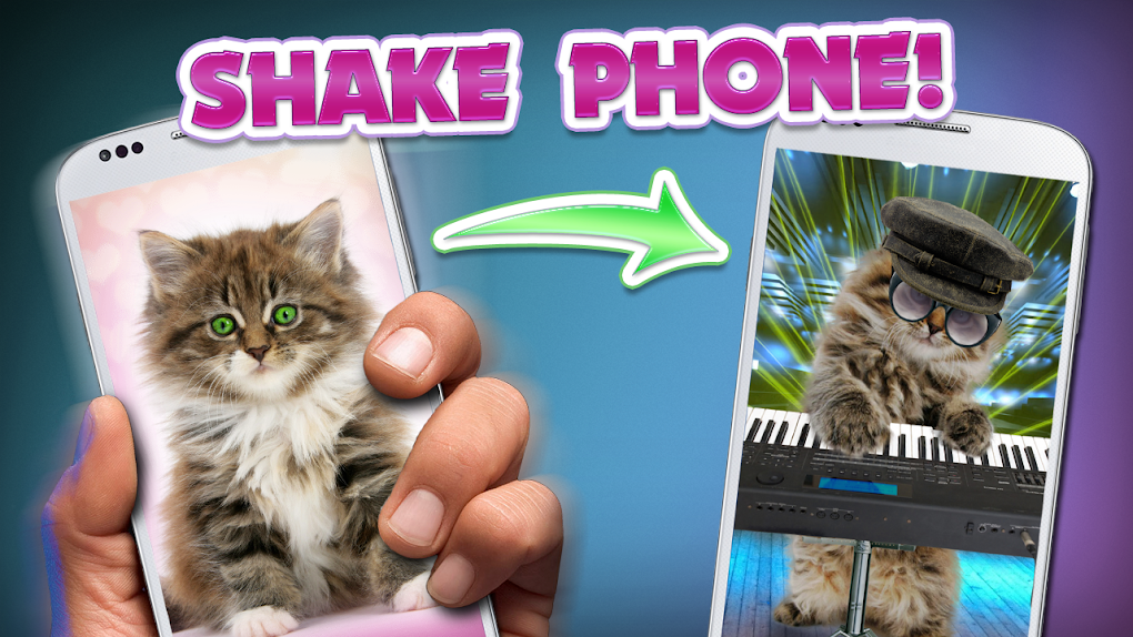 Purring cats live wallpaper APK for Android - Download