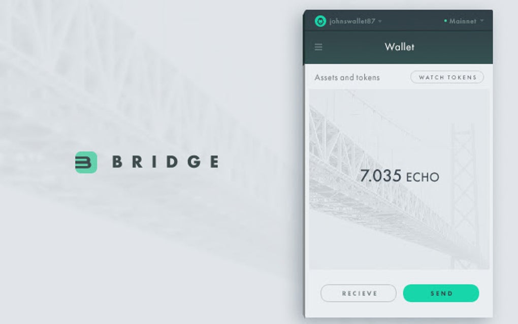 Echo Bridge for Google Chrome - Extension Download