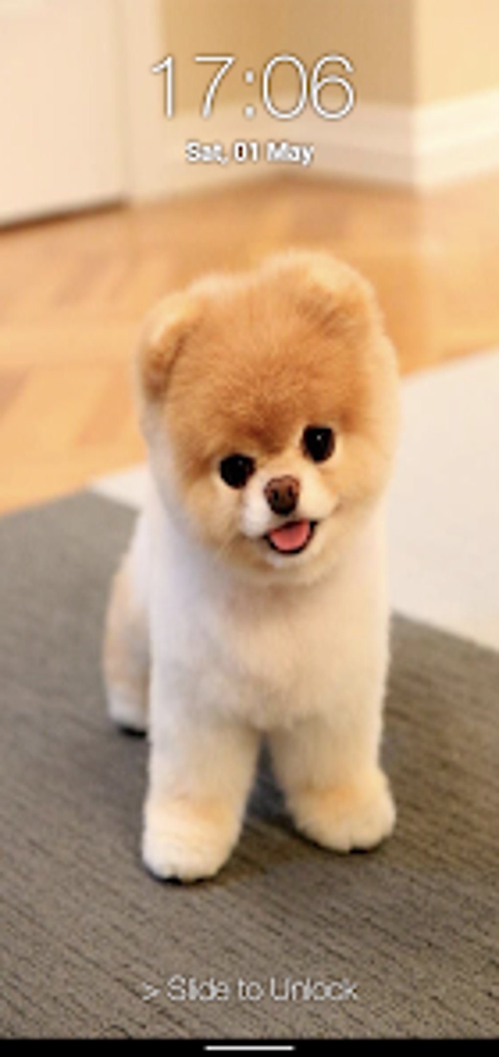 Puppy Dog Pin Lock Screen for Android - Download