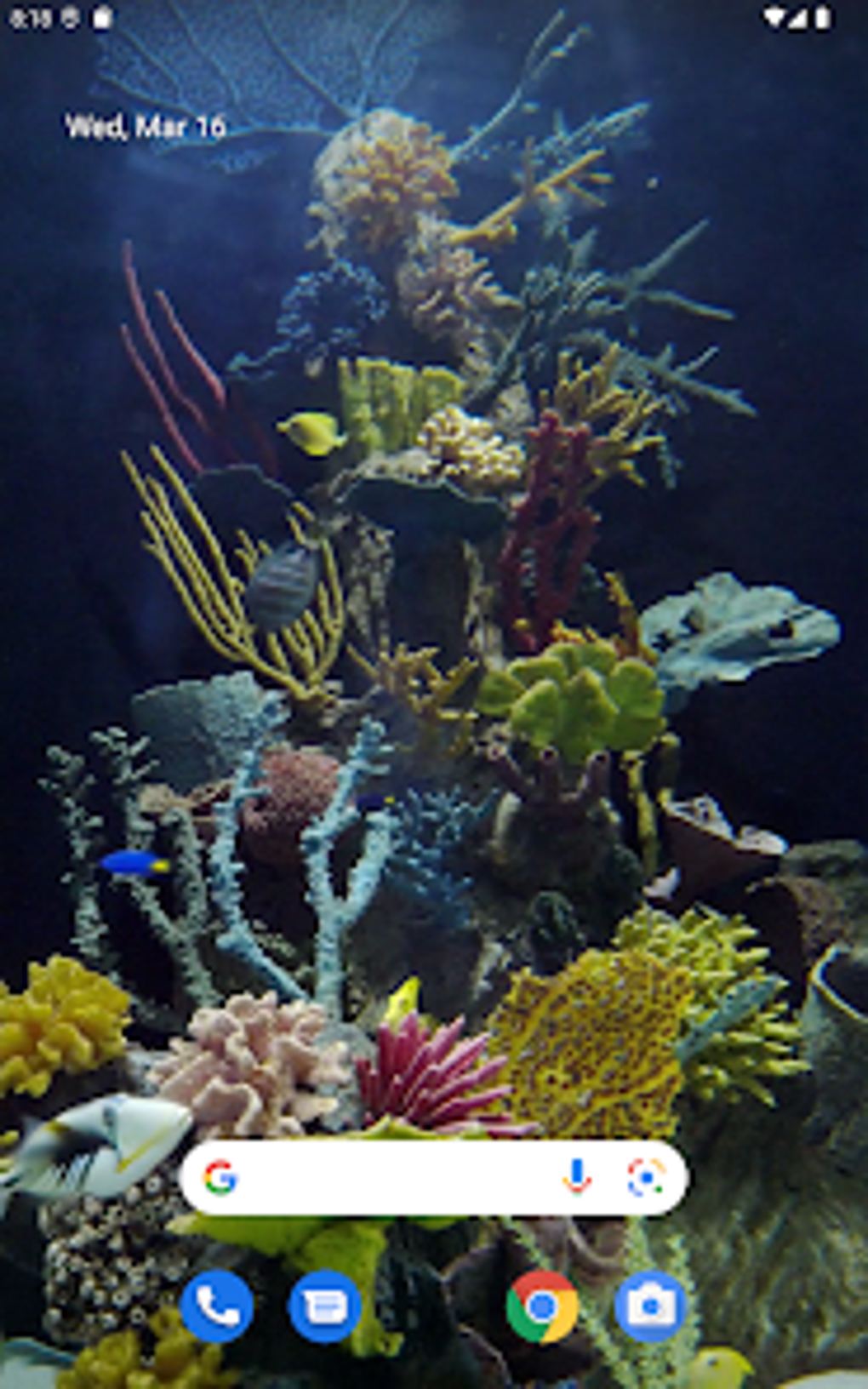 Video Wallpaper for Android - Download