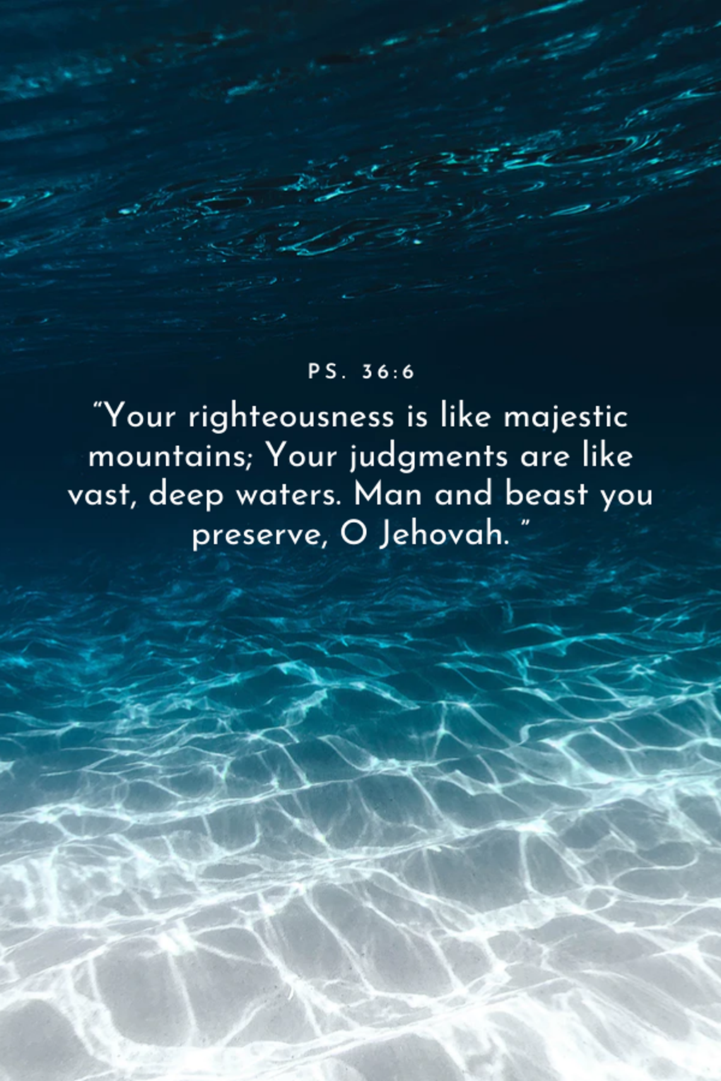 The Daily Text on video for Android - Download