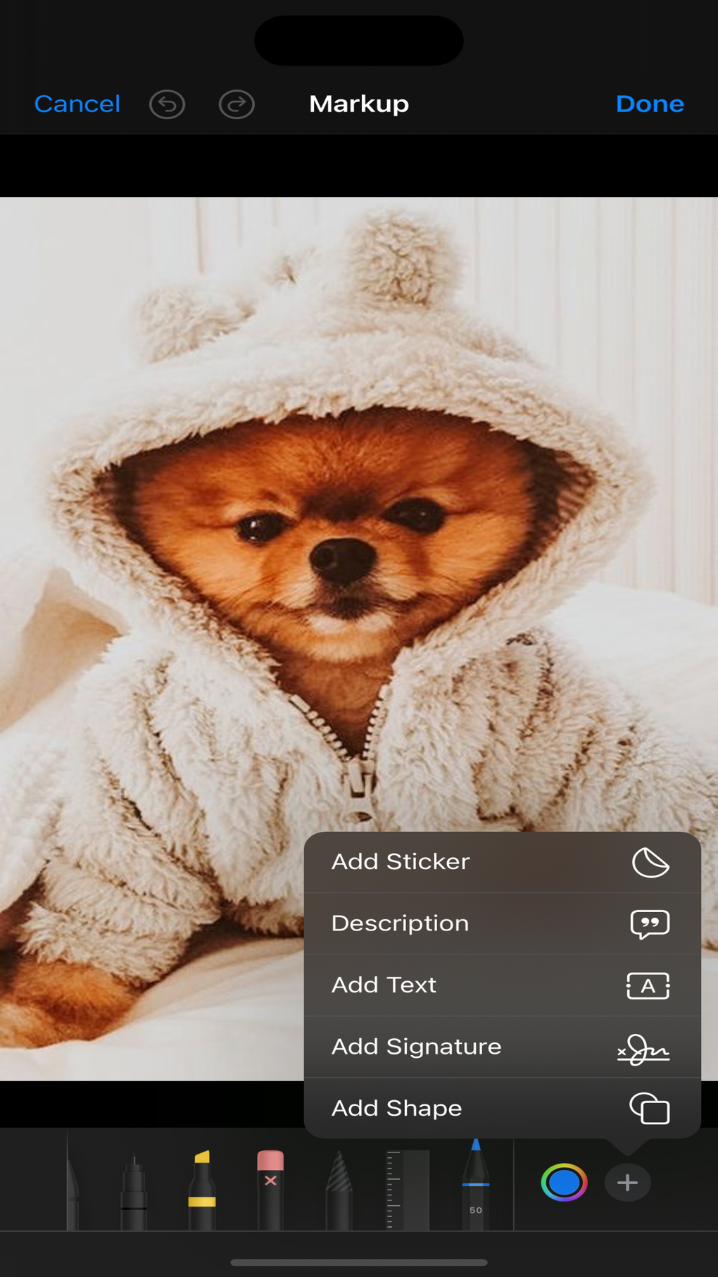 Preppy Dogs Wallpapers 4k for iPhone - Download