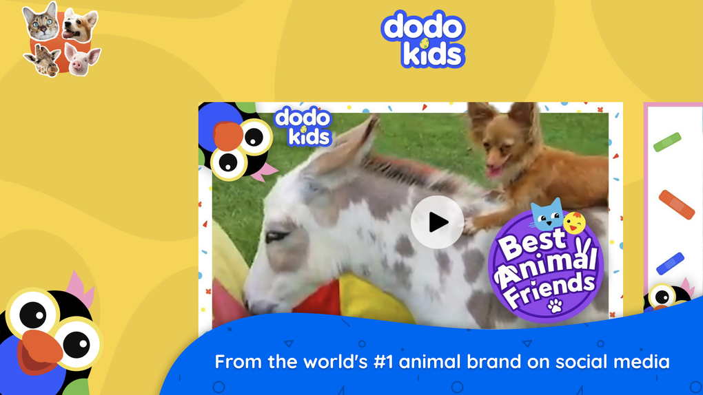Dodo Kids - Fun Animal Videos for iPhone - Download