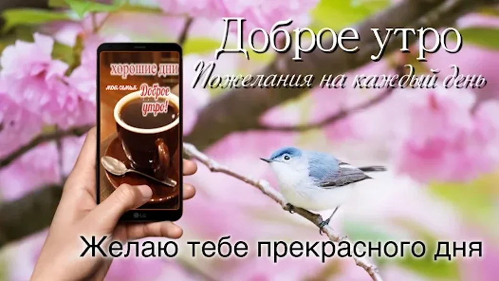 Russian Good Morning Everyday for Android - Download
