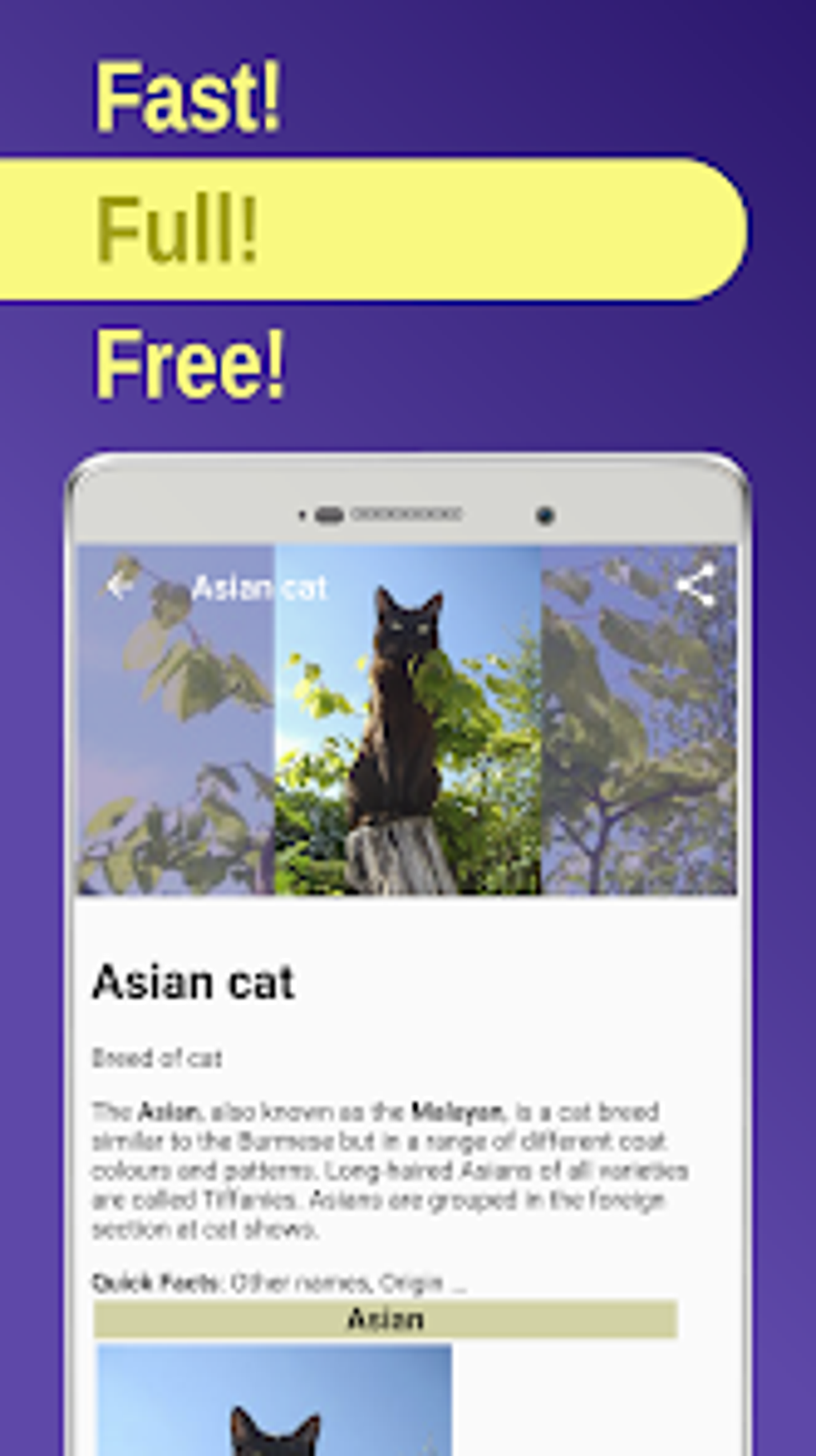 Cat breeds per Android - Download